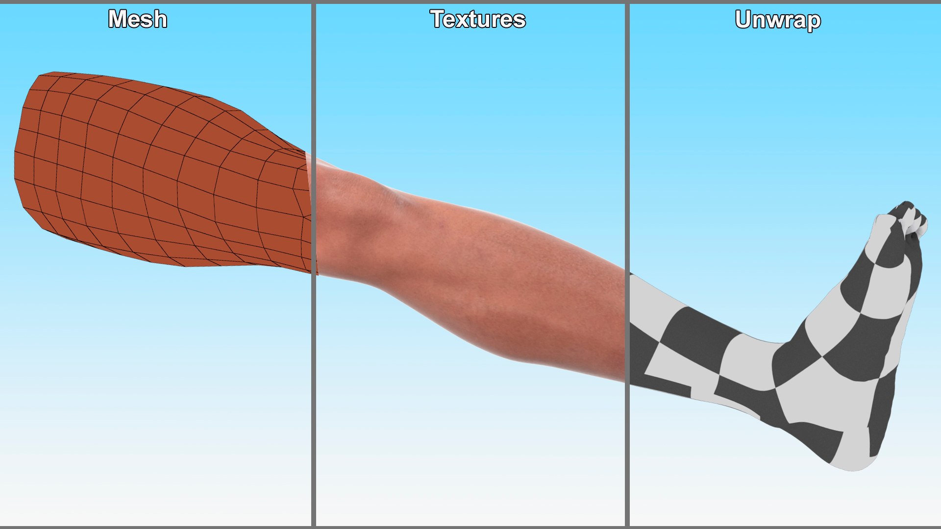 Male Athletic Leg 3D Model - TurboSquid 2277595