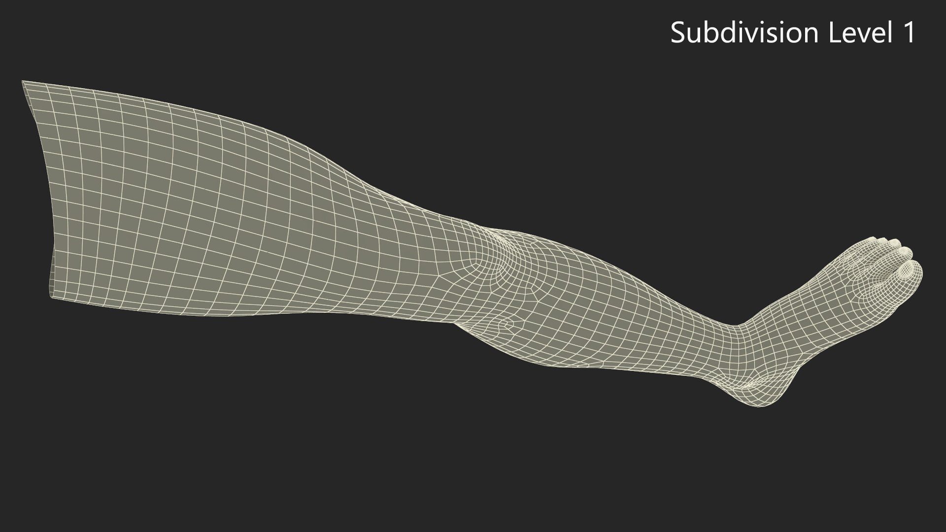 Male Athletic Leg 3D Model - TurboSquid 2277595