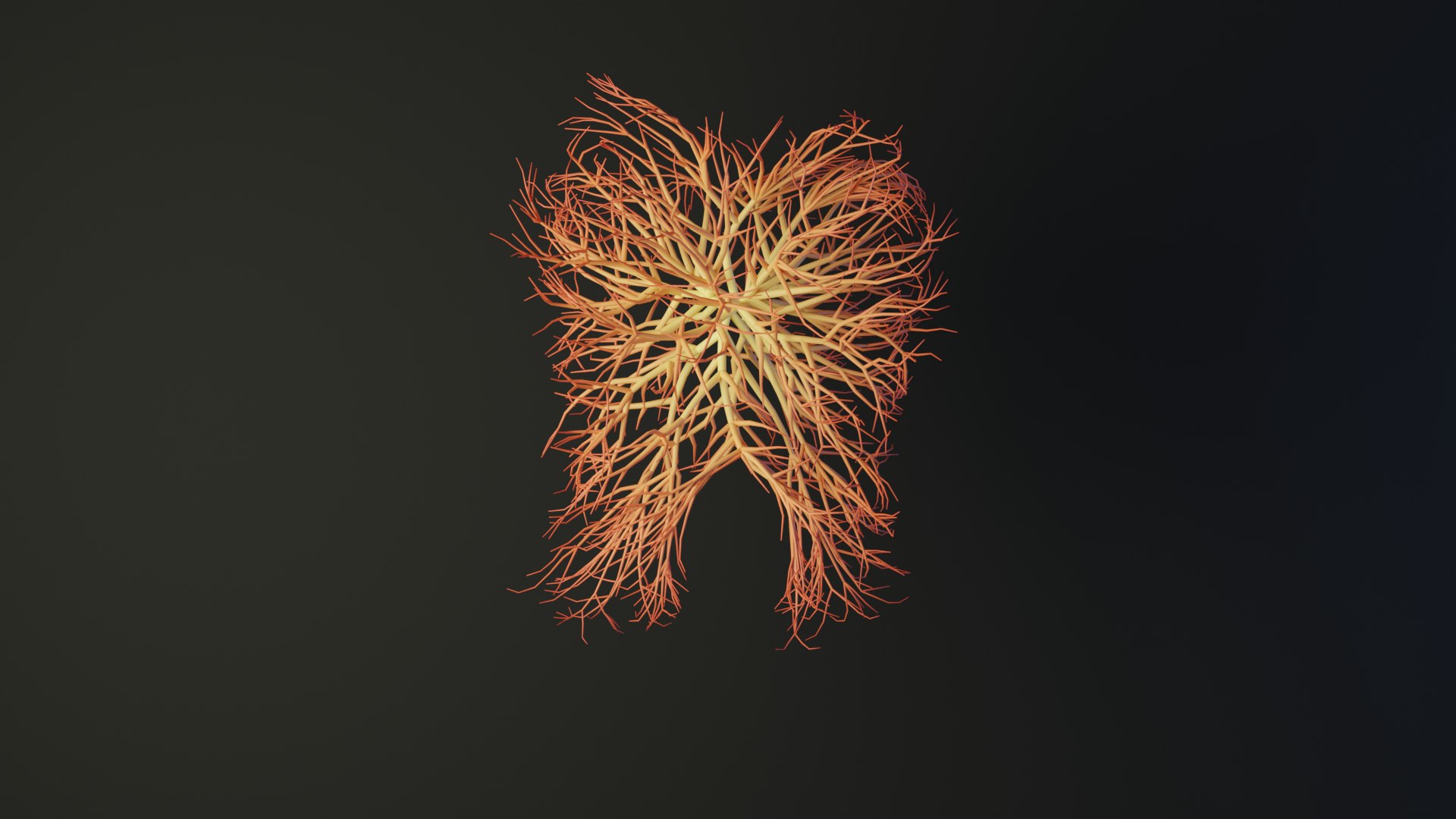 3D Human Tooth Unrolling Growing Animation - TurboSquid 1979583