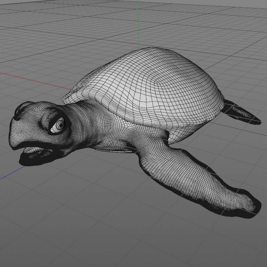 3D Sea Turtle - TurboSquid 1157925