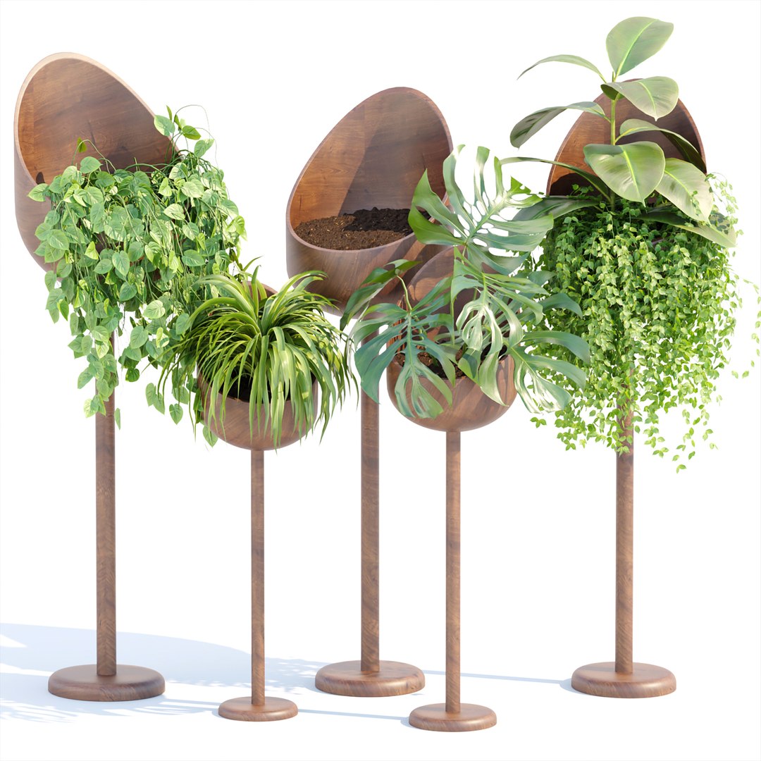 Indoor Plants Collection Vol 132 3D Model - TurboSquid 1981417