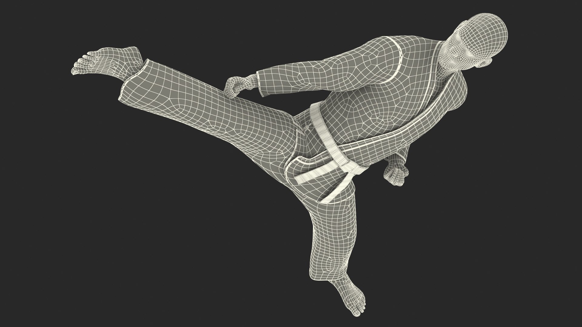 3D Model Karate Fighter Fur Rigged - TurboSquid 1434518