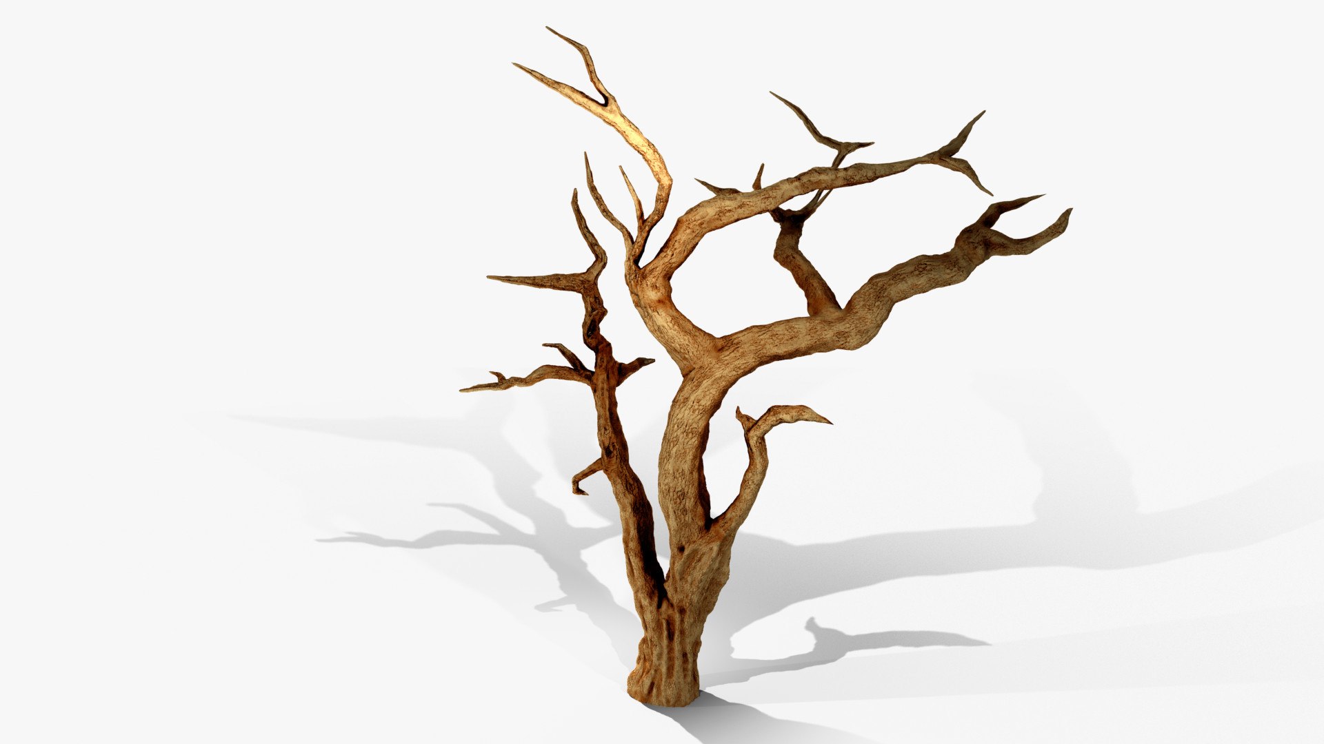3D Model Spooky Acacia Tree Animation - TurboSquid 1348471