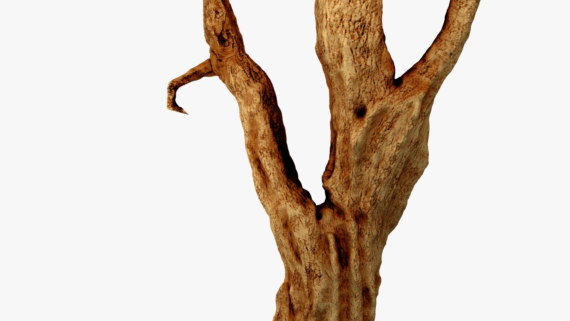 3D Model Spooky Acacia Tree Animation - TurboSquid 1348471