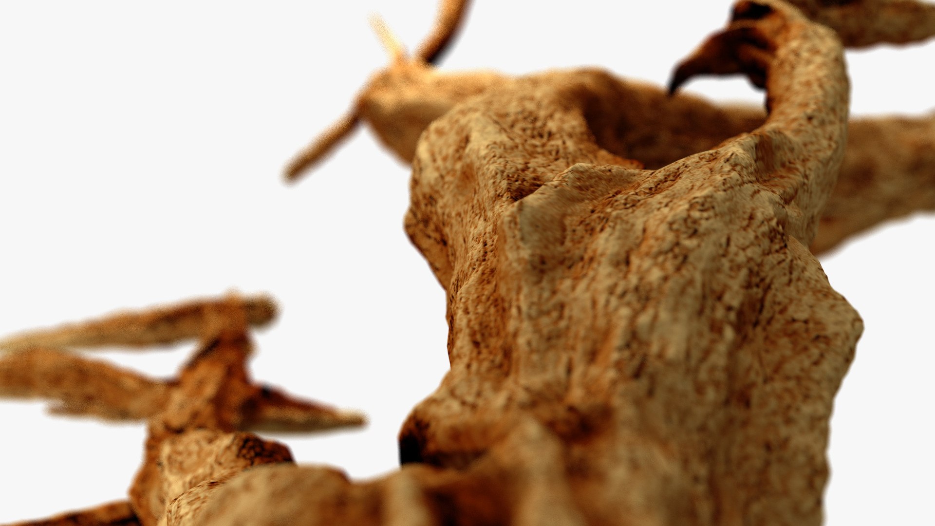 3D Model Spooky Acacia Tree Animation - TurboSquid 1348471