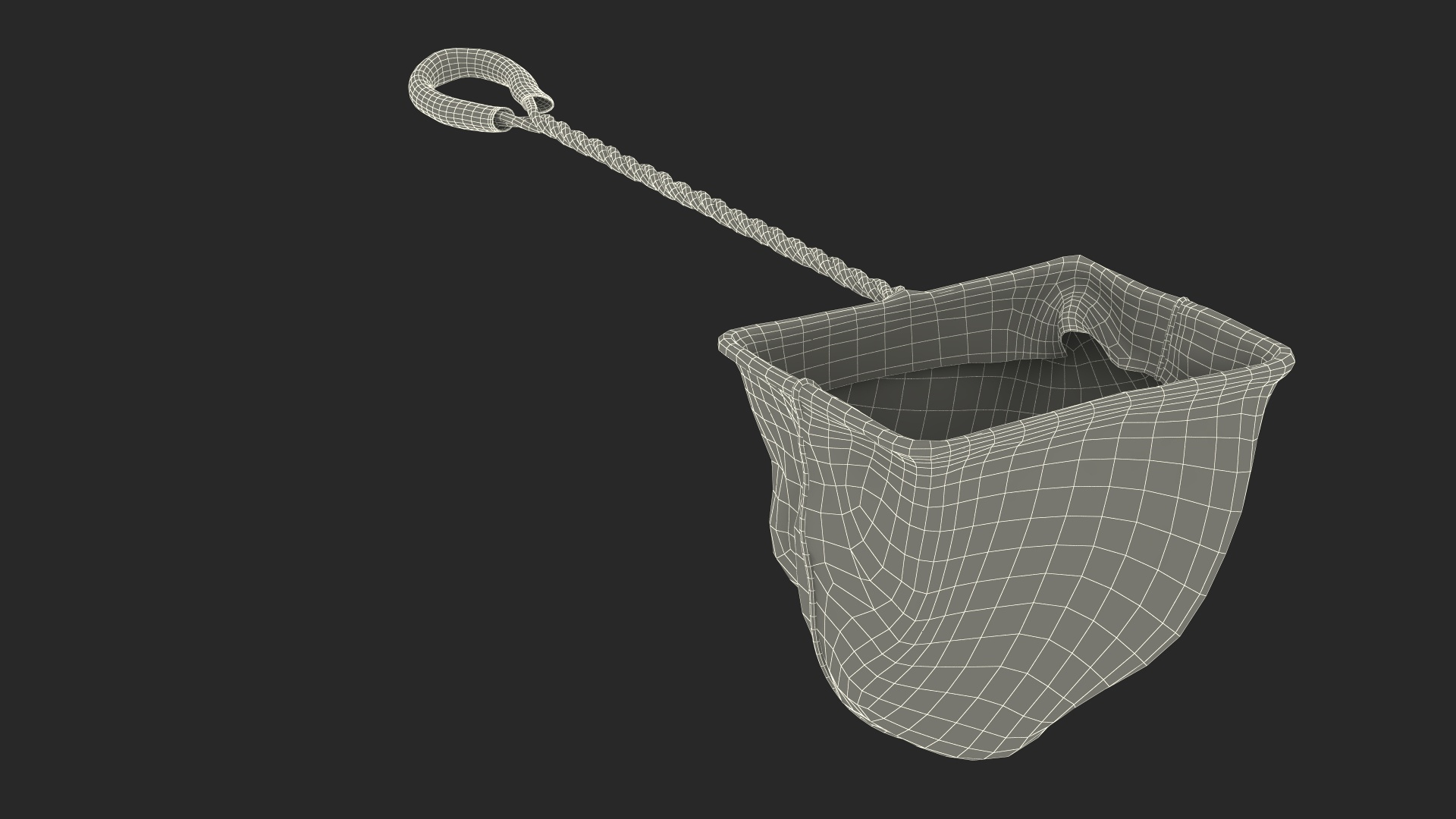 Fish Net for Pet Fish 3D model - TurboSquid 2119205