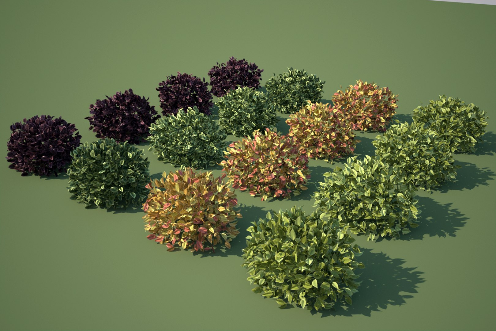 3d Renderings Ready Shrub - Model
