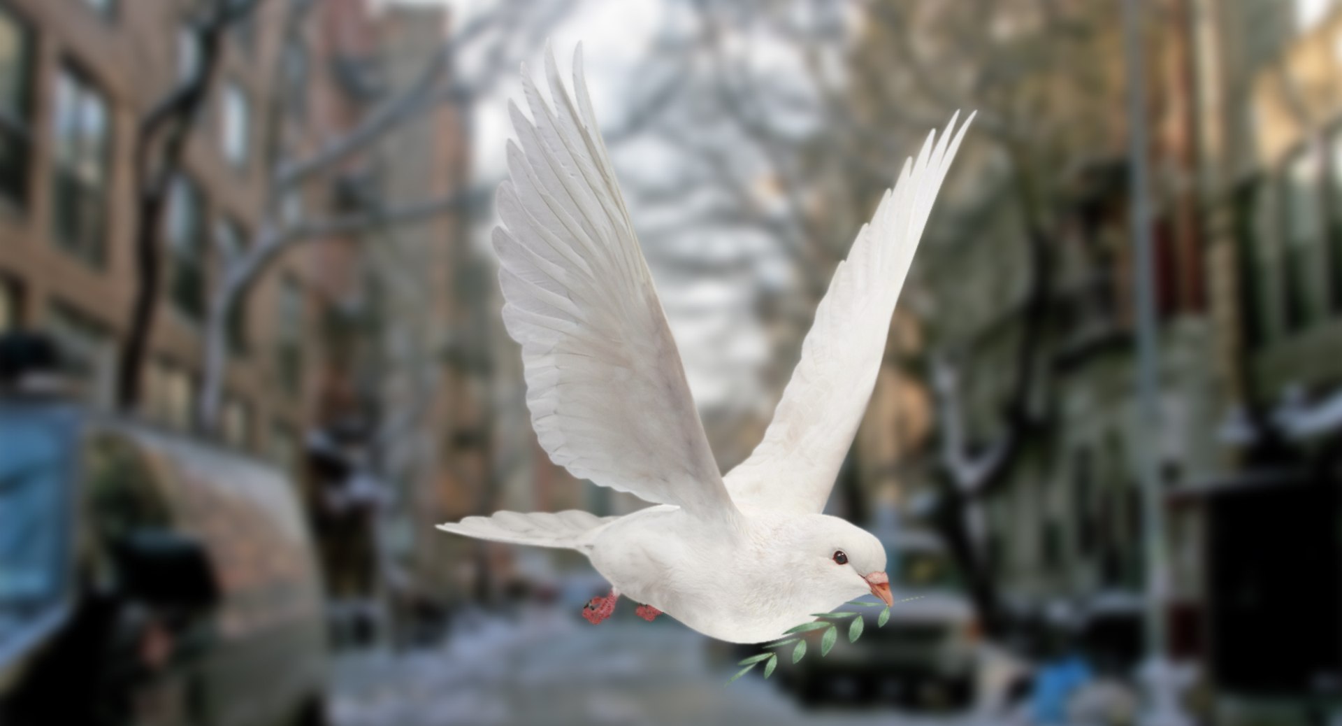Dove Flying Animation 3D - TurboSquid 1349751