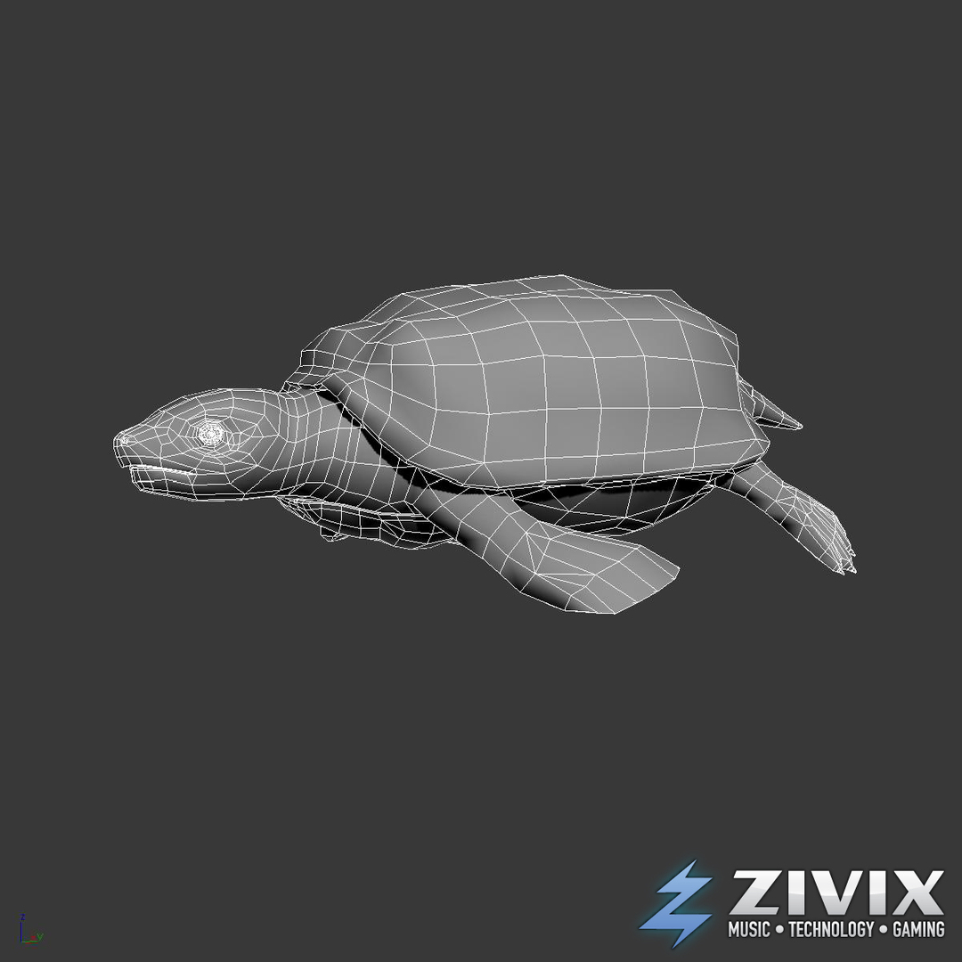 3d Generic Turtle Swim