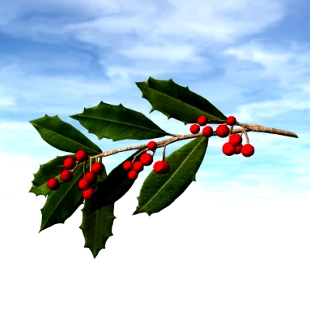 Holiday Bryce Christmas Tree Br4