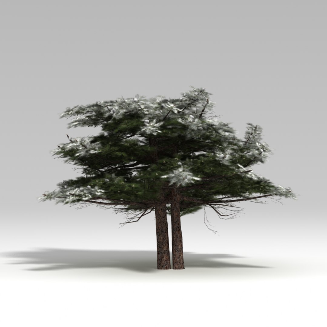 3d snowtree tree snow model