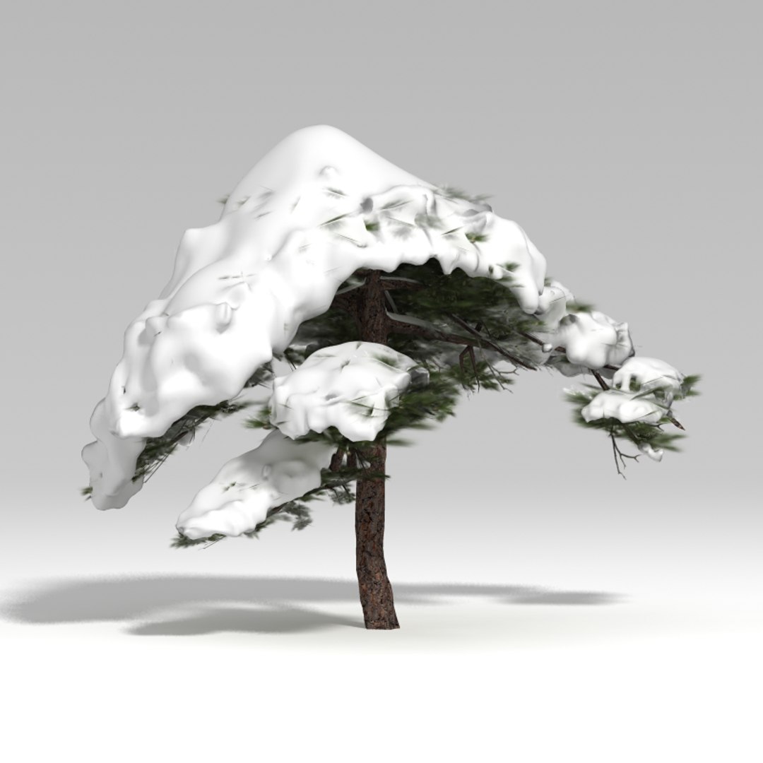 3d snowtree tree snow model
