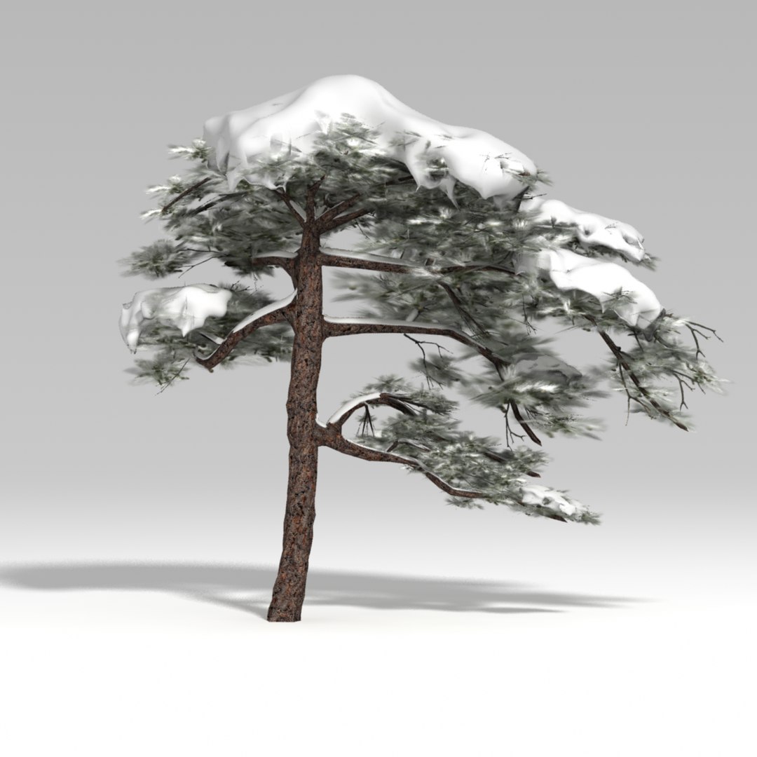 3d Snowtree Tree Snow Model