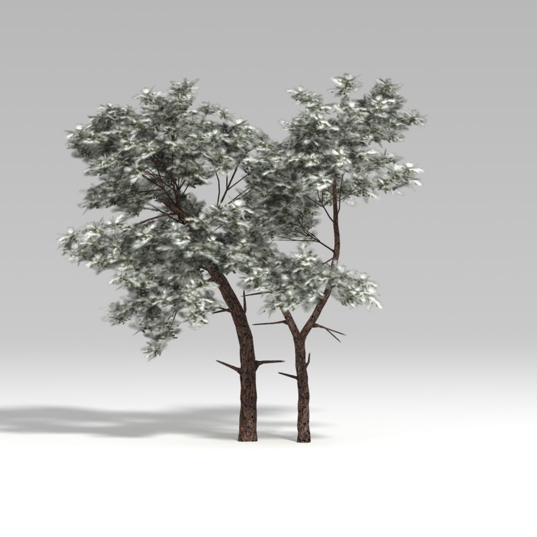 3d Snowtree Tree Snow Model