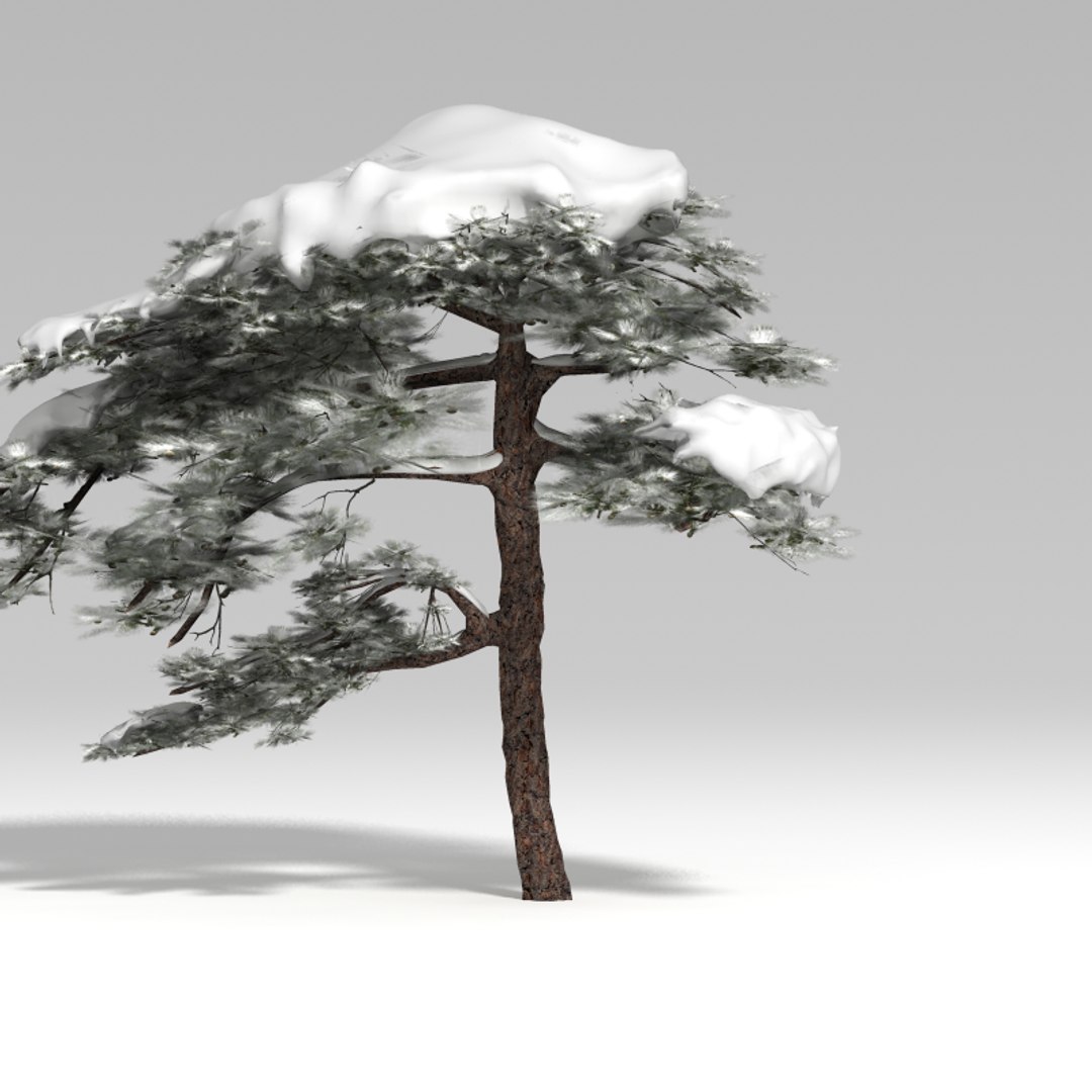 3d Snowtree Tree Snow Model
