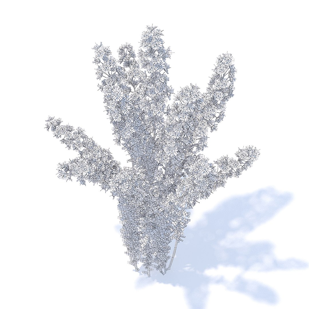 3D Heather Plant Calluna - TurboSquid 1229018