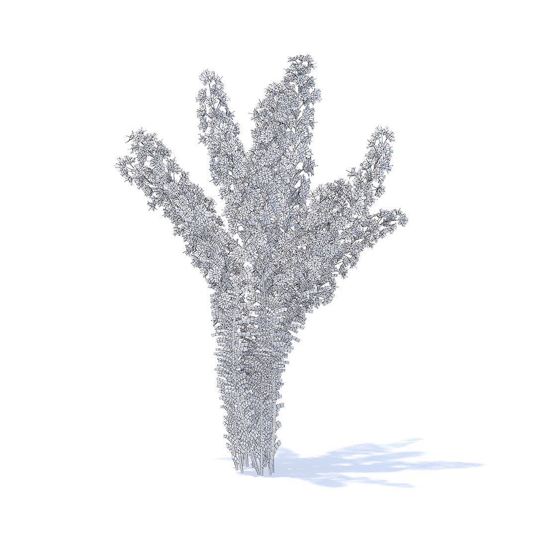 3D Heather Plant Calluna - TurboSquid 1229018