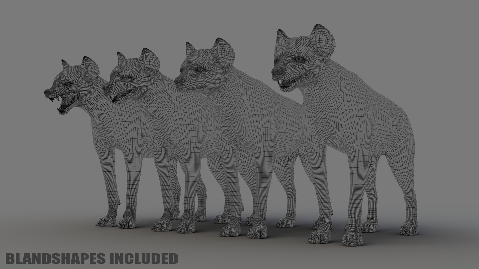 3D Model Hyena Static Maya 2023 Xgen-core - TurboSquid 2341949