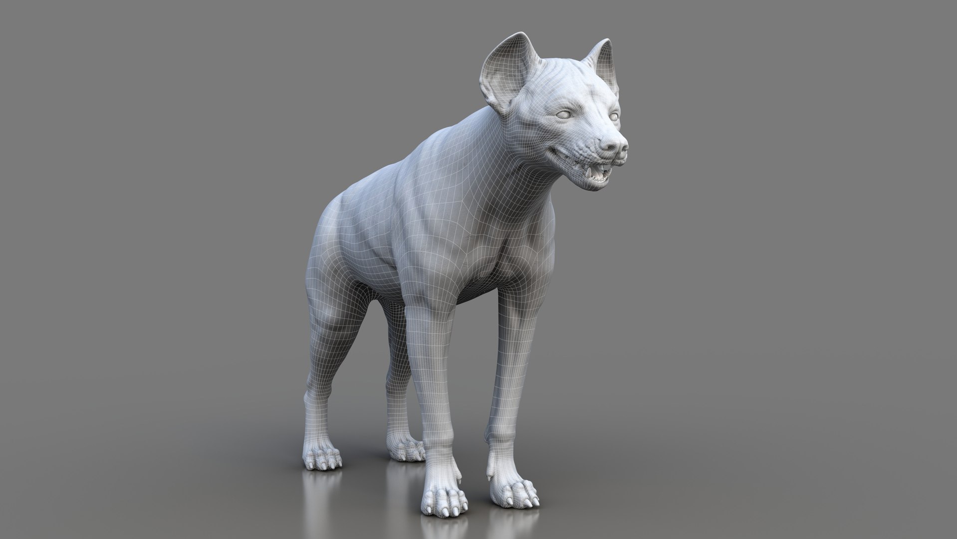 3D Model Hyena Static Maya 2023 Xgen-core - TurboSquid 2341949