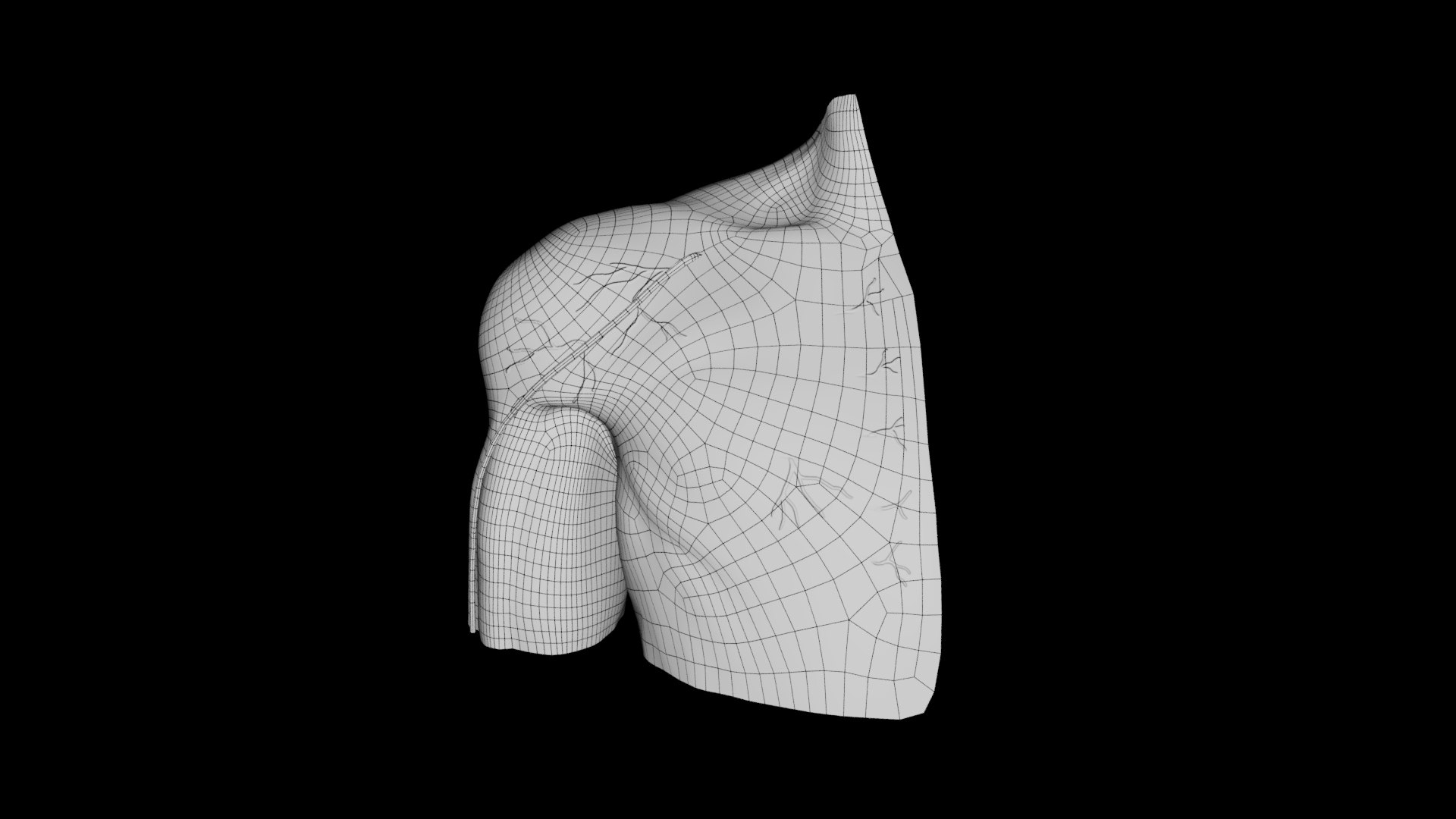 Human Anatomy-Muscular System-Upper Limb Anterior View 3D Model ...