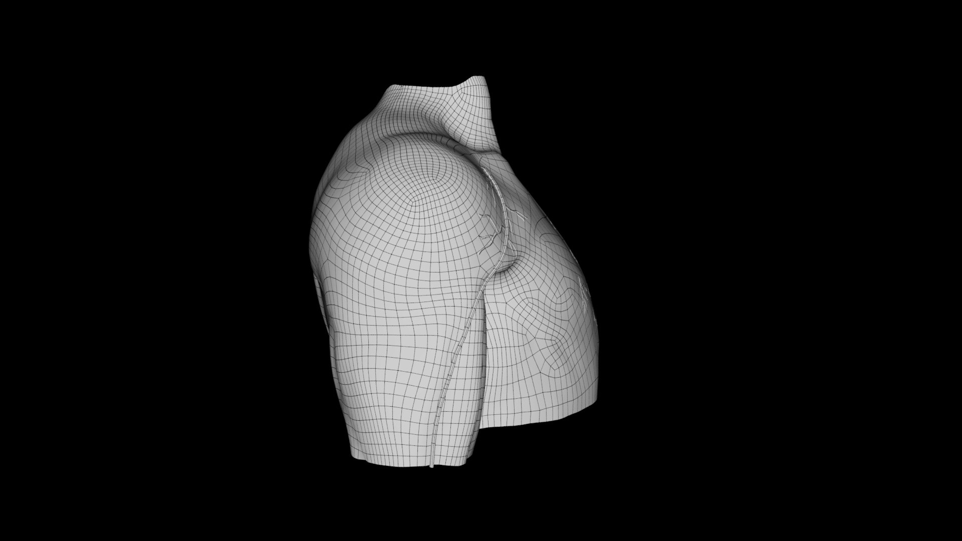 Human Anatomy-Muscular System-Upper Limb Anterior View 3D Model ...