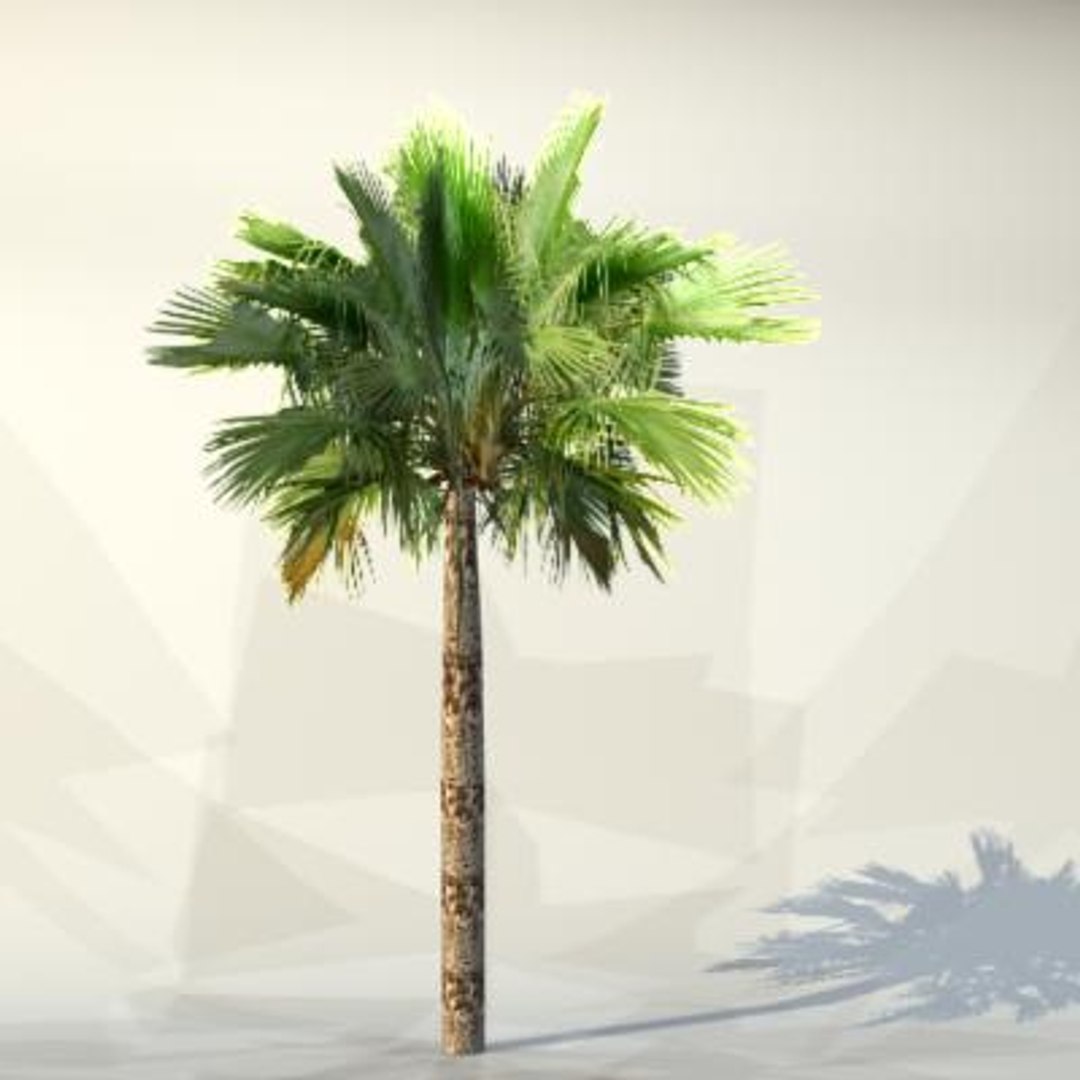 3dsmax Pc Palm