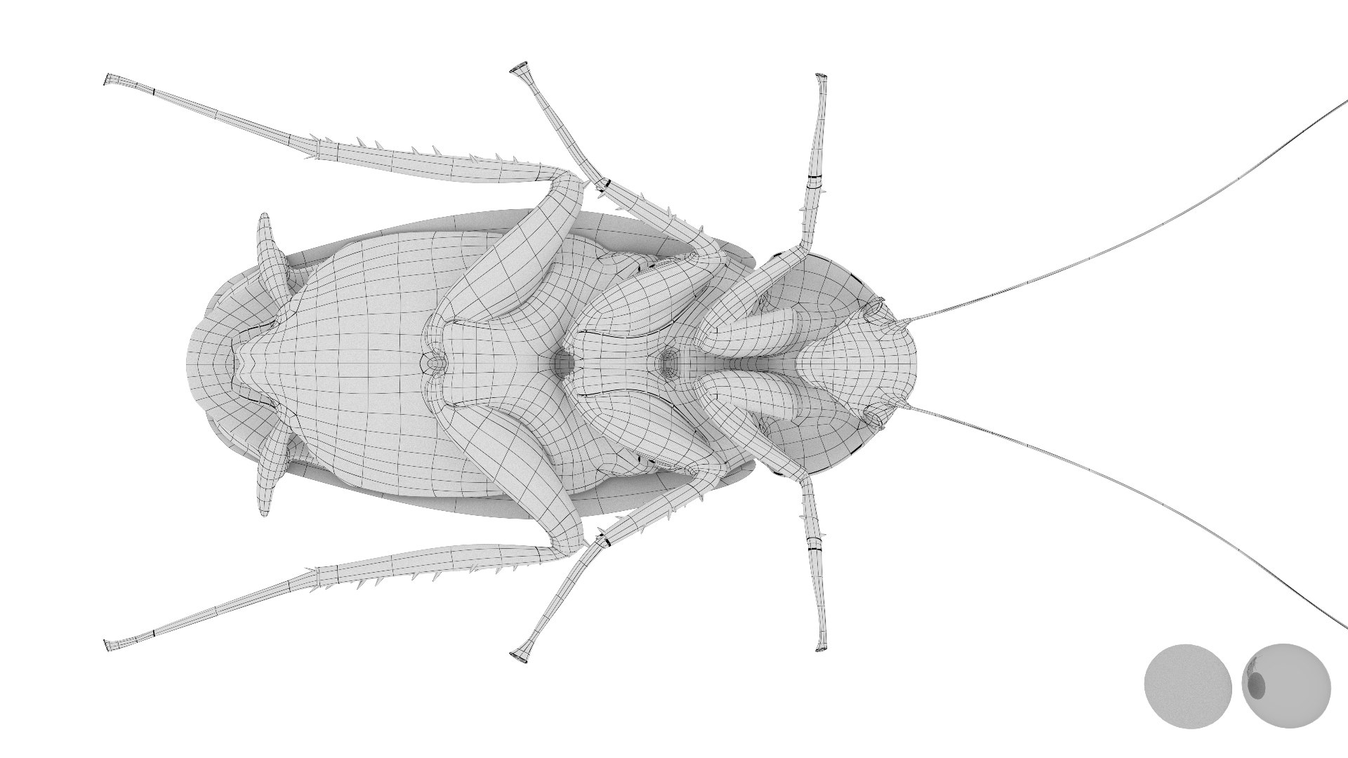 3D Rigged cockroach model - TurboSquid 2009925
