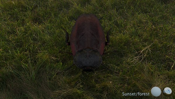 modelo 3d Rigged cockroach - TurboSquid 2009925