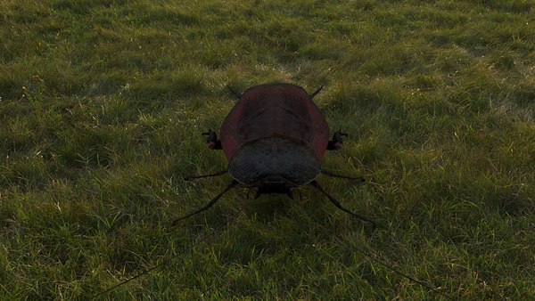 modelo 3d Rigged cockroach - TurboSquid 2009925