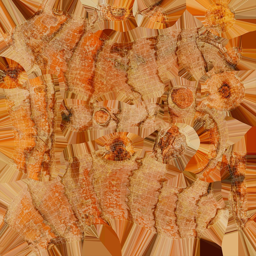 Whole Turmeric and Slices v2 model - TurboSquid 1864973