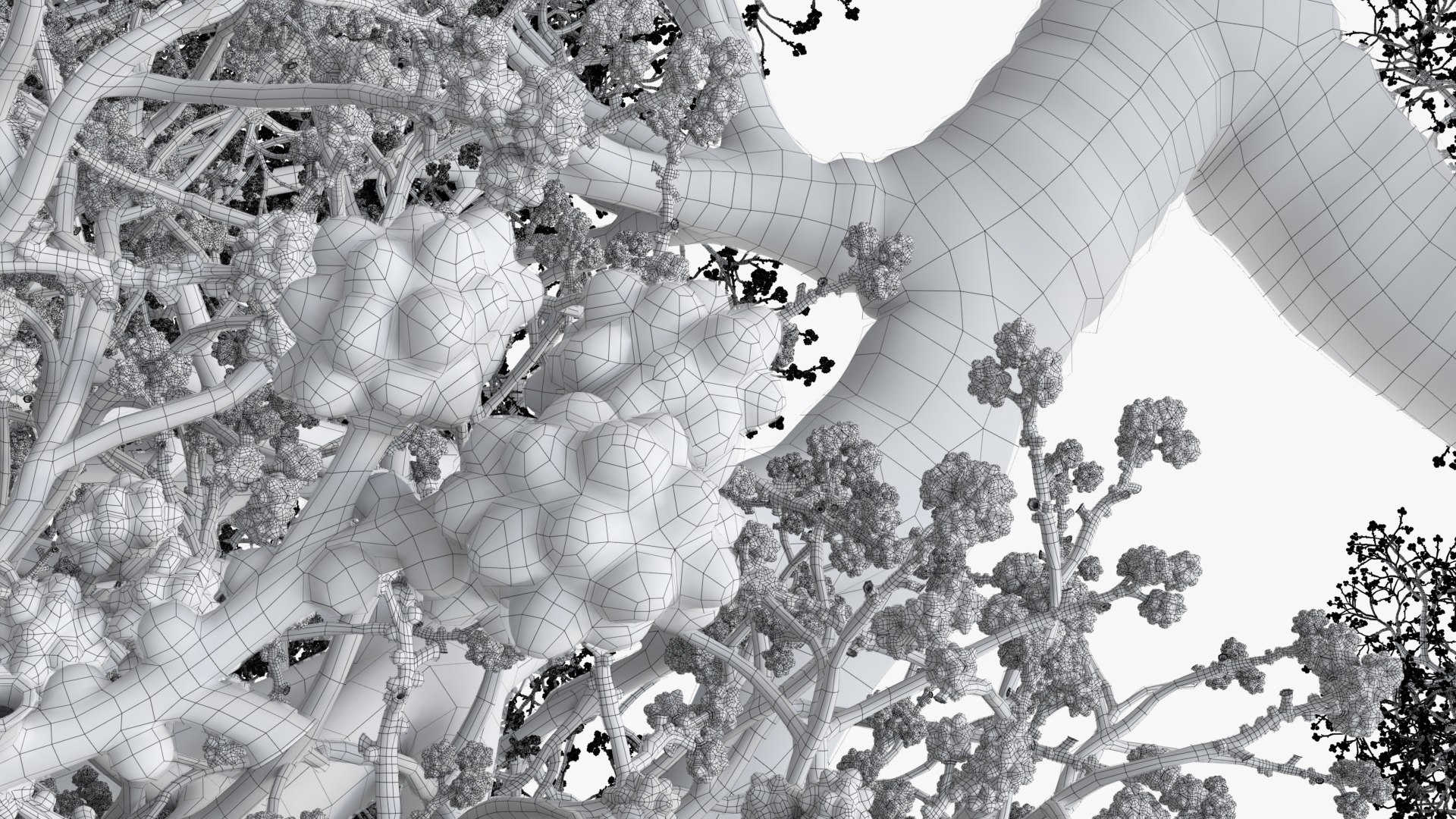 Anatomically Trachea 3D Model - TurboSquid 1537894