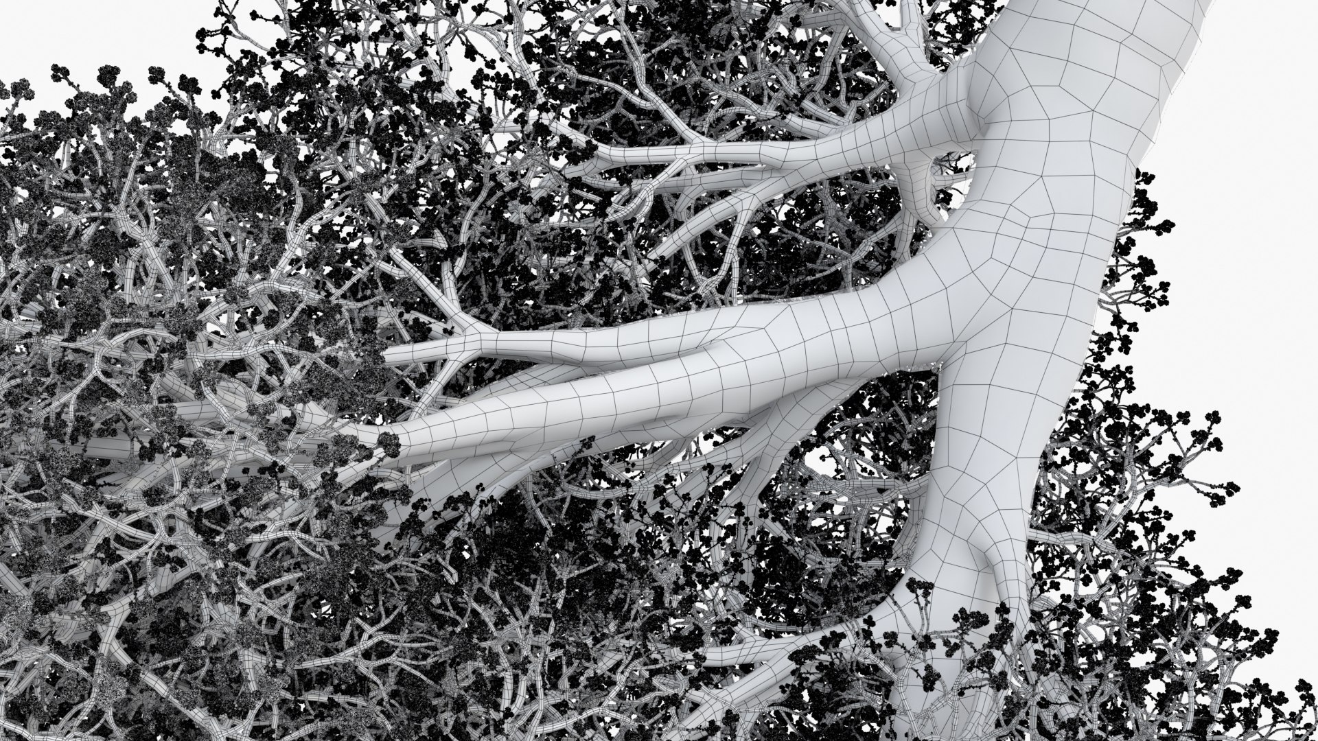 Anatomically Trachea 3D Model - TurboSquid 1537894