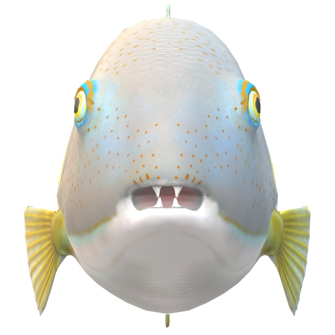 Orange Dotted Tuskfish 3D Model - TurboSquid 2294965