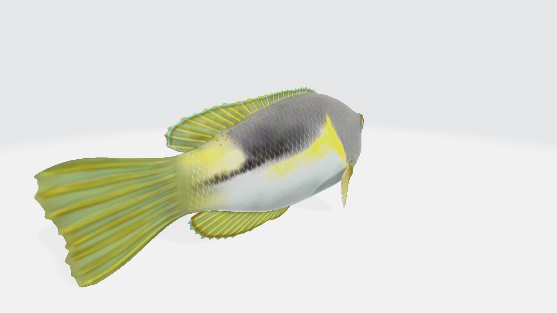 Orange Dotted Tuskfish 3D Model - TurboSquid 2294965