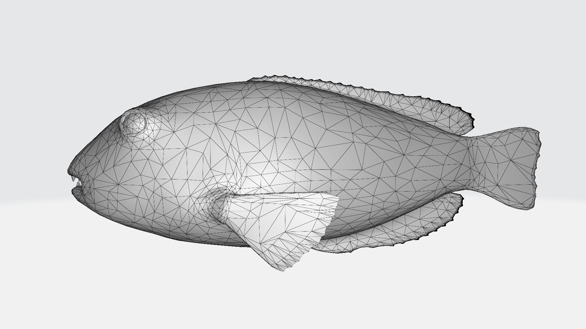 Orange Dotted Tuskfish 3D Model - TurboSquid 2294965