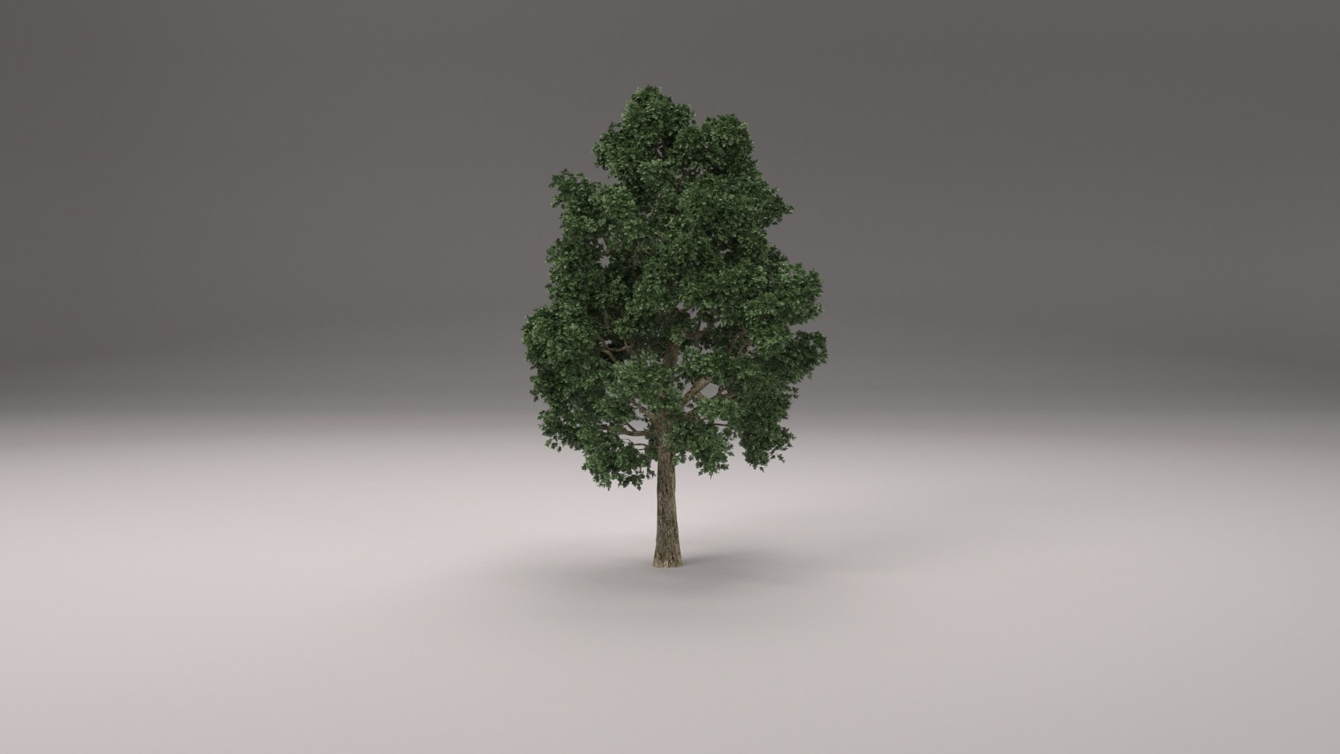 3D Tree model - TurboSquid 2034583