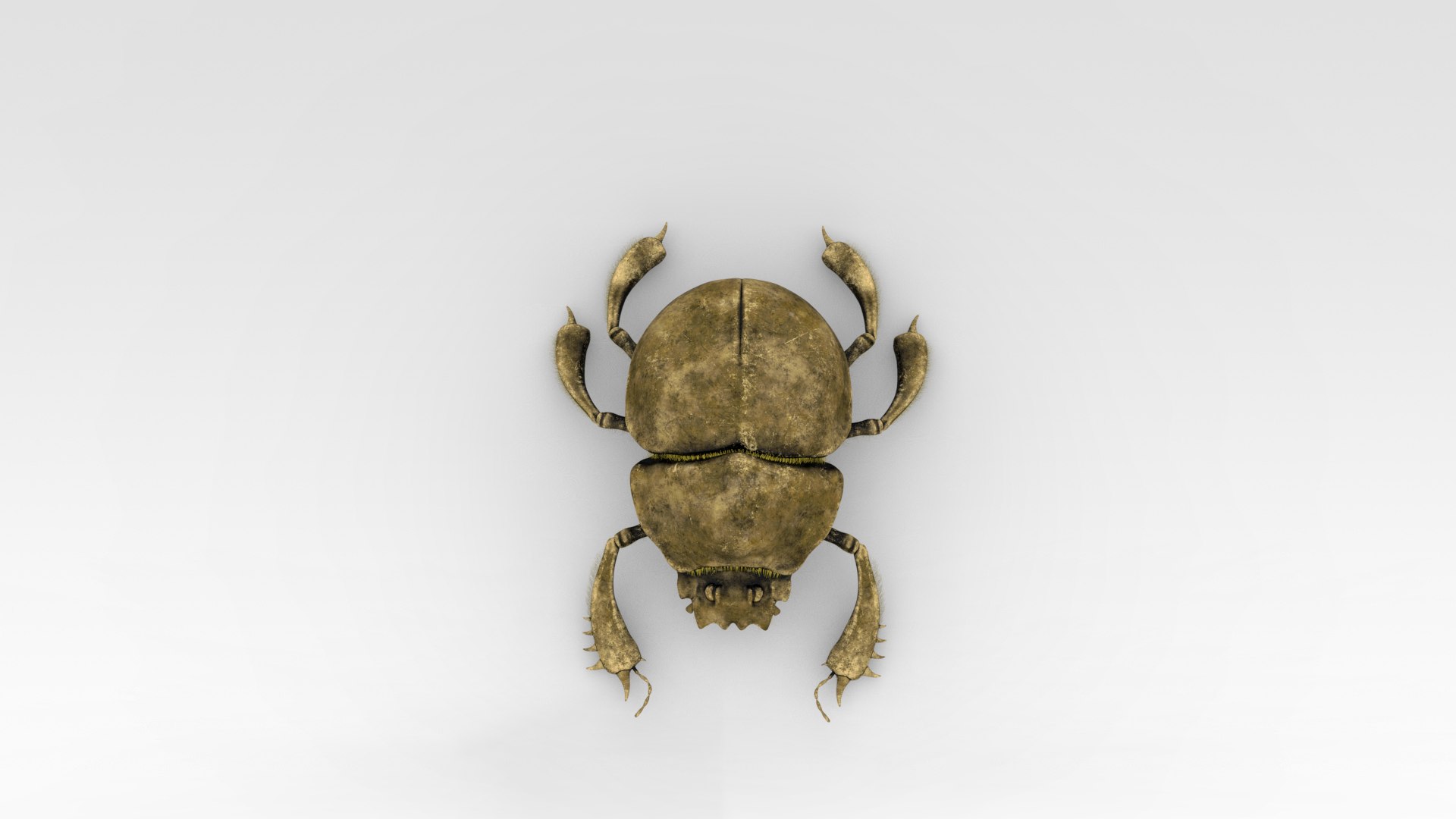 Golden Scarab 3D Model - TurboSquid 1841442