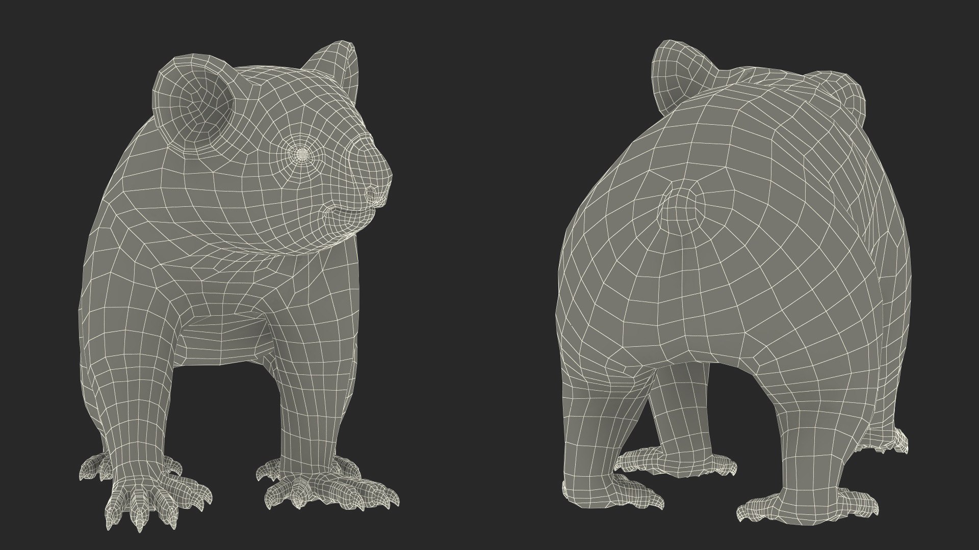 3D Koala Walking Fur - TurboSquid 2167291
