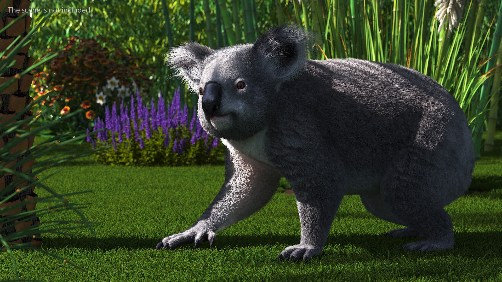 3D Koala Walking Fur - TurboSquid 2167291