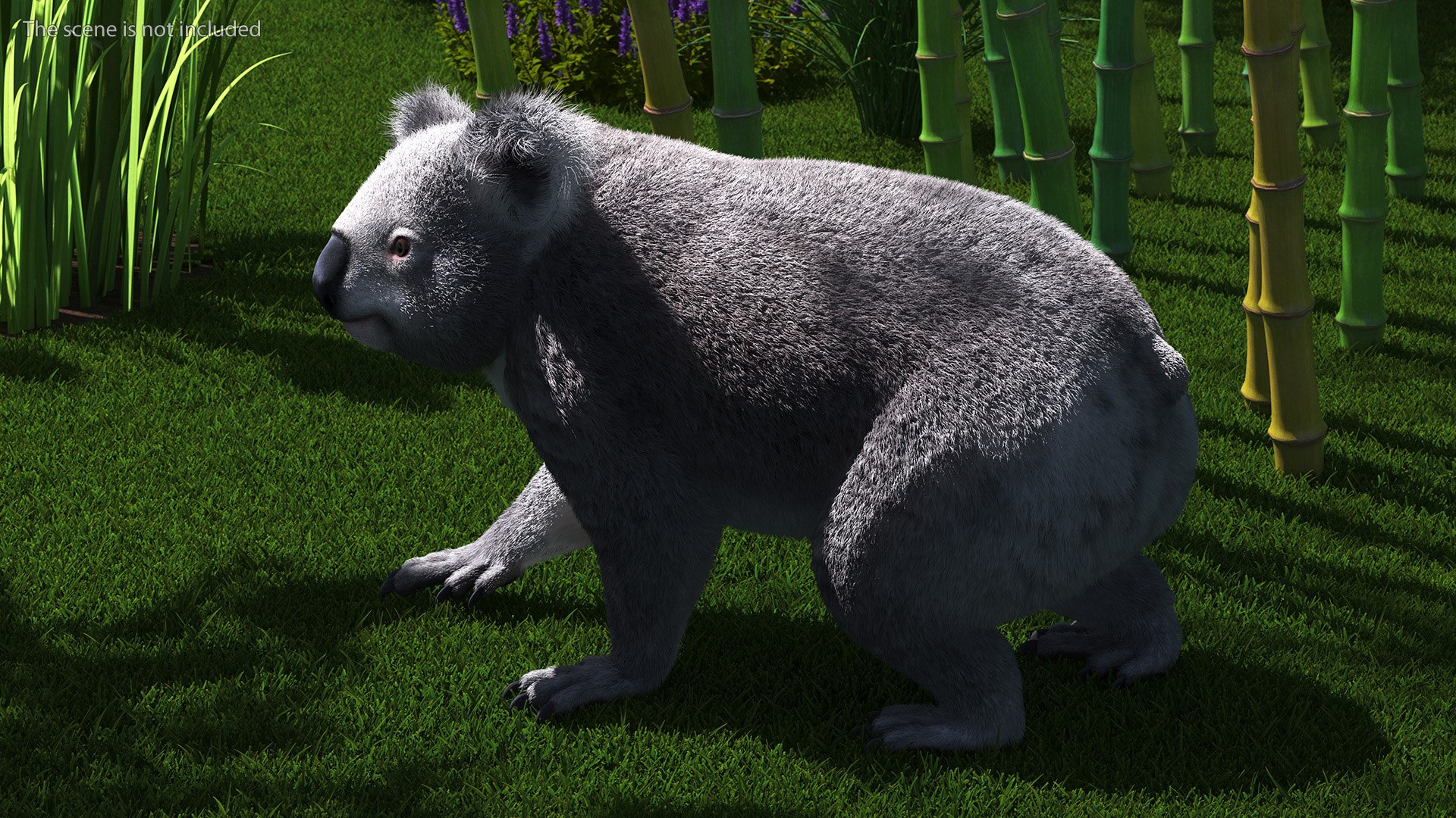3D Koala Walking Fur - TurboSquid 2167291