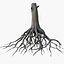 3d Roots Tree Model