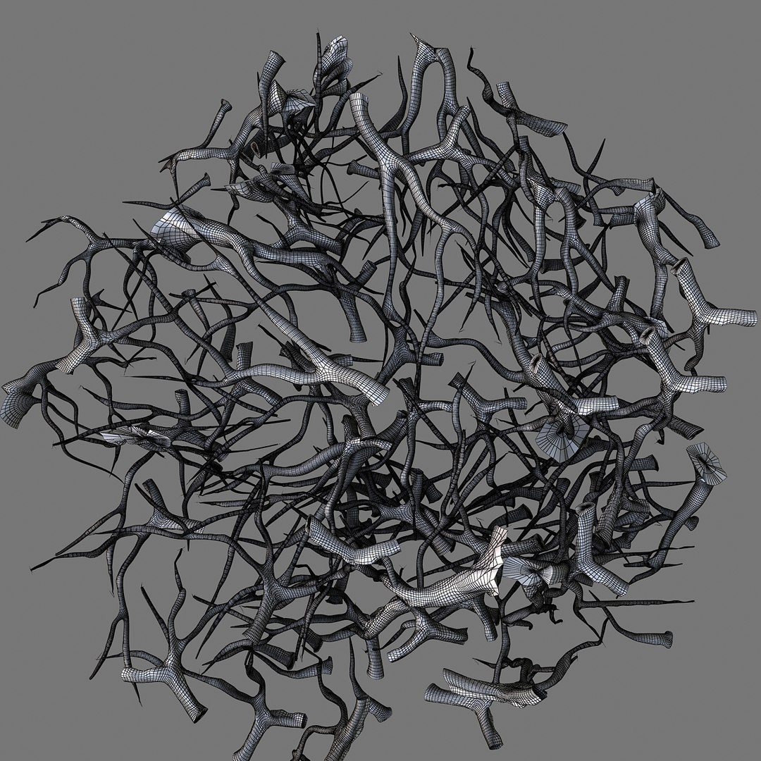 3d roots tree model