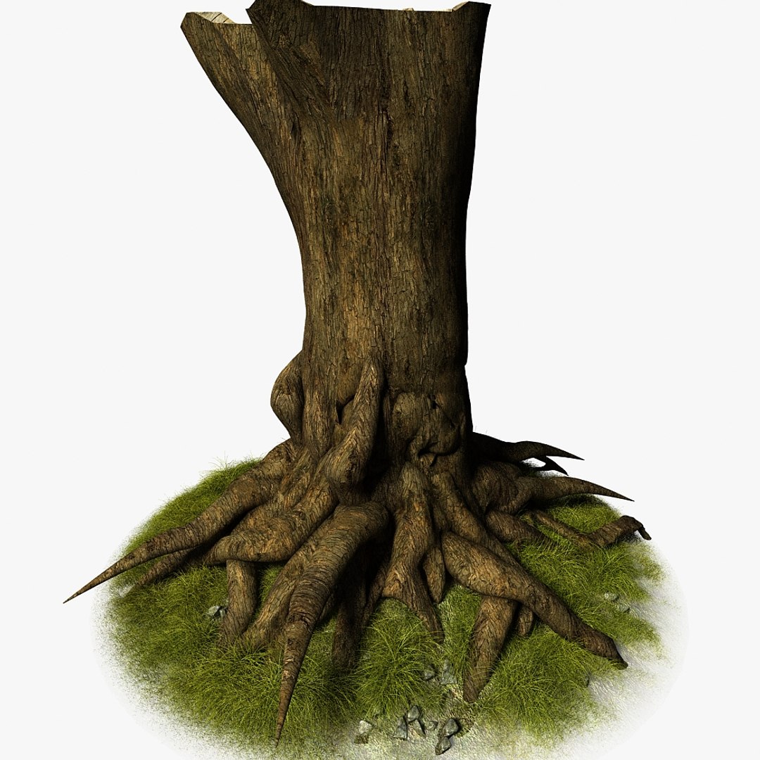 3d roots tree model
