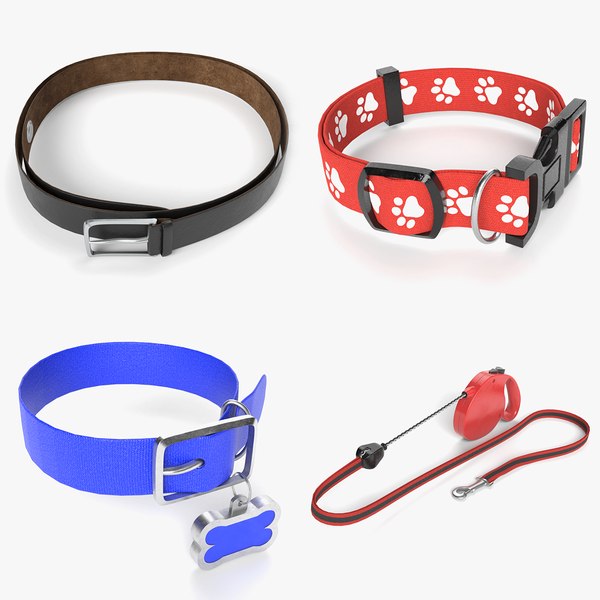 Leash 3D Models for Download | TurboSquid