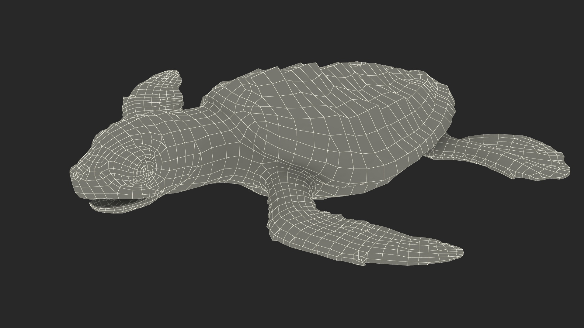 Baby Sea Turtle Black Rigged For Maya Model - TurboSquid 2204052