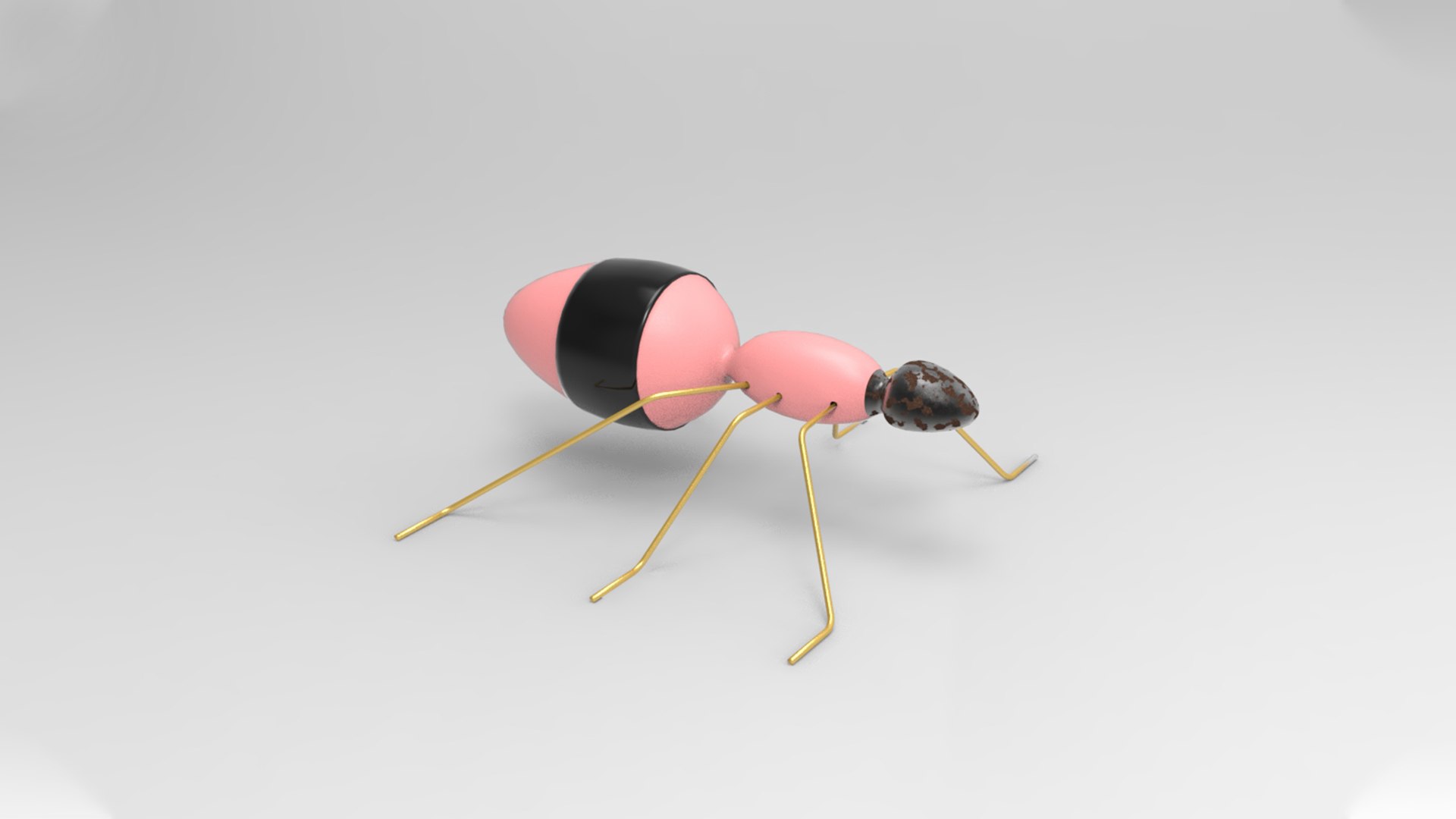 Fauna Ant 3D - TurboSquid 1786857