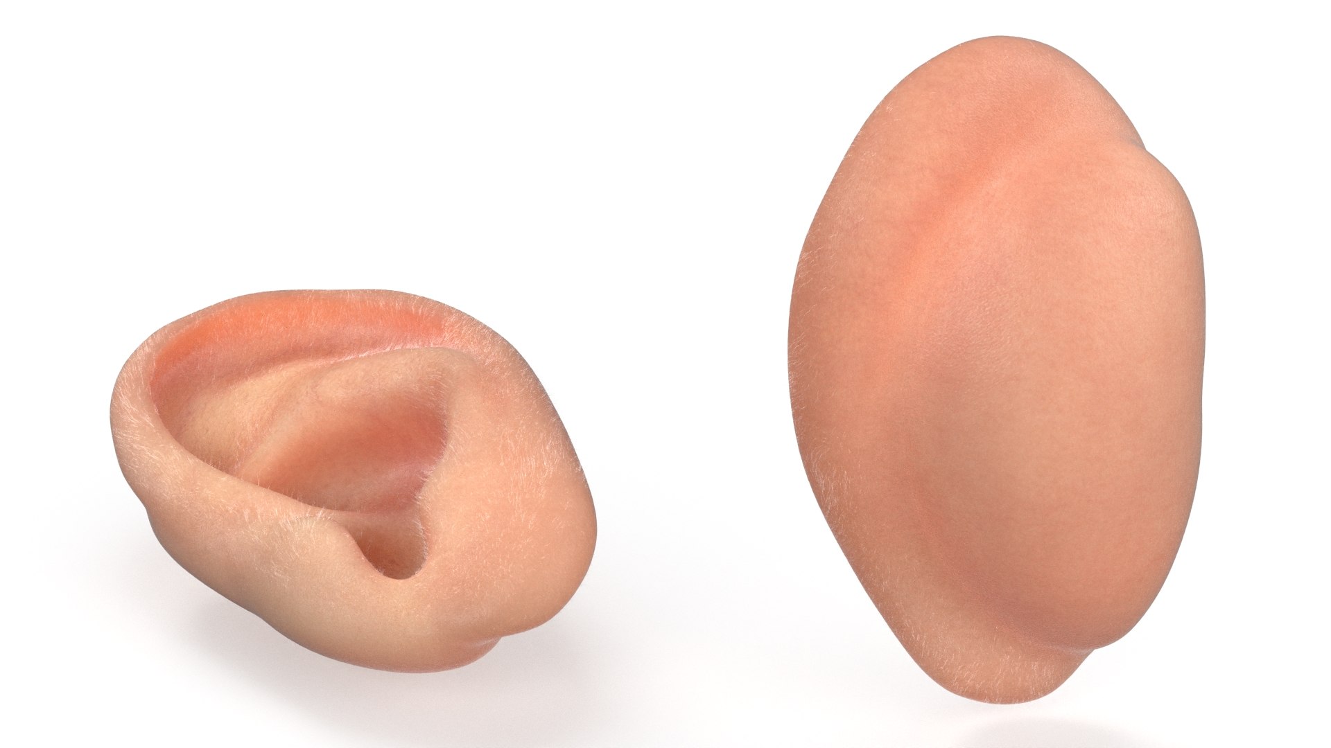 Realistic Human Ear Left 3D - TurboSquid 2304592