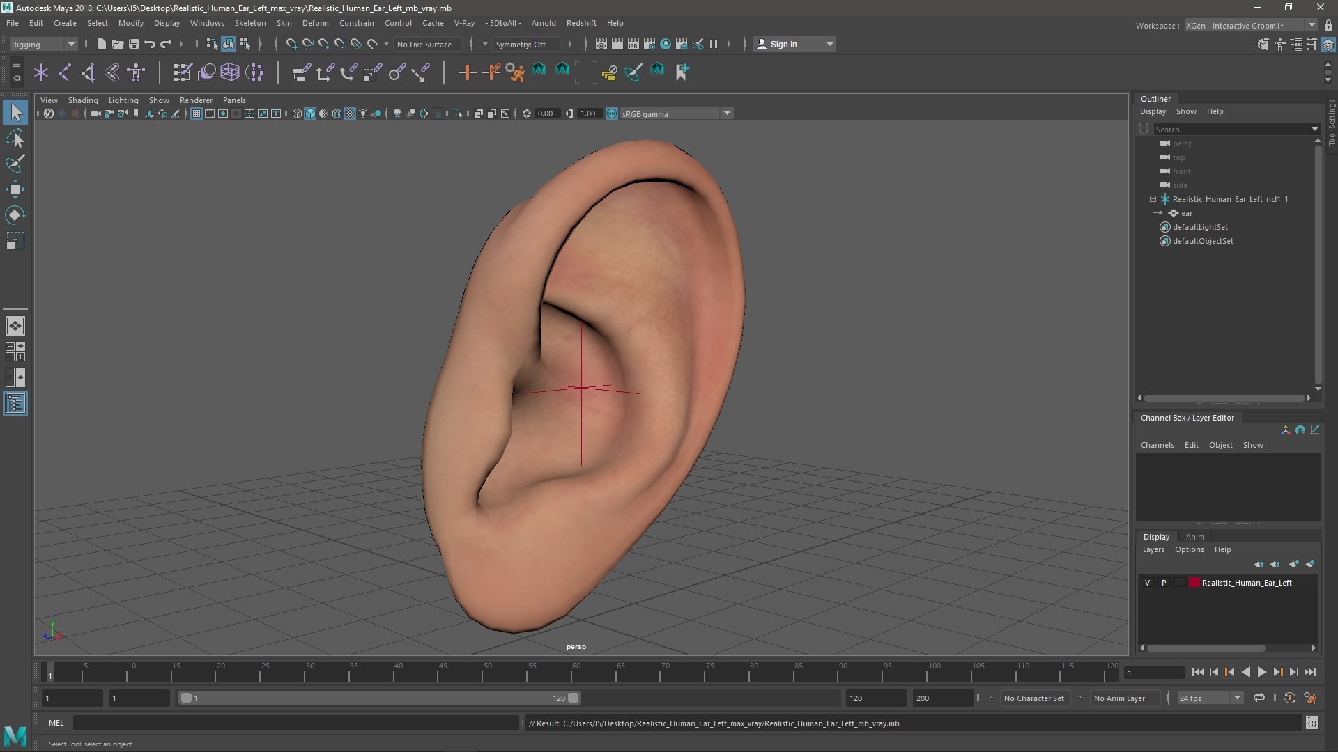 Realistic Human Ear Left 3D - TurboSquid 2304592