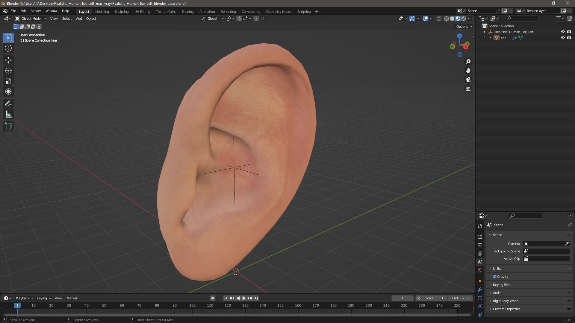 Realistic Human Ear Left 3D - TurboSquid 2304592