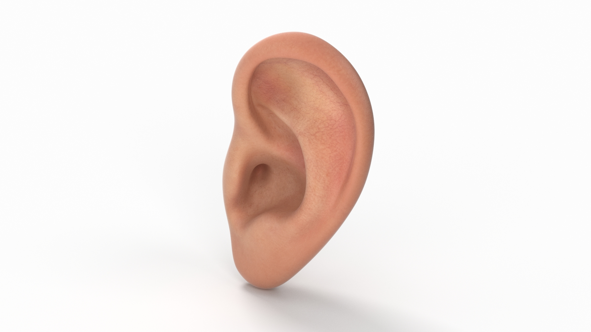 Realistic Human Ear Left 3D - TurboSquid 2304592